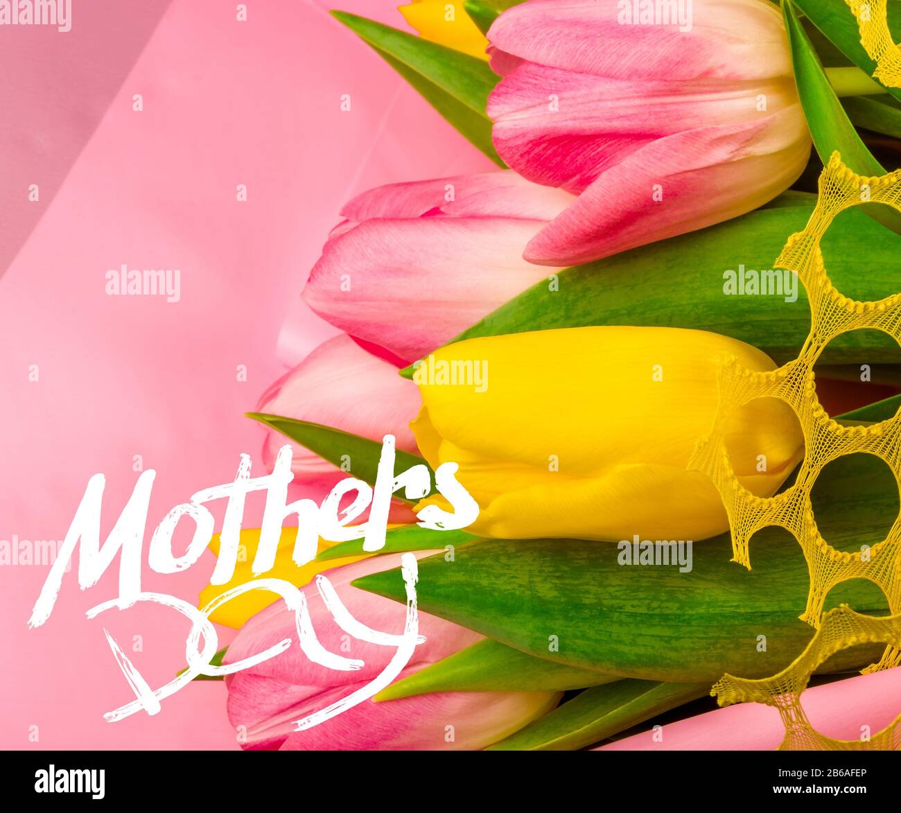 Greeting card - a bouquet of fresh spring pink and yellow tulips ...