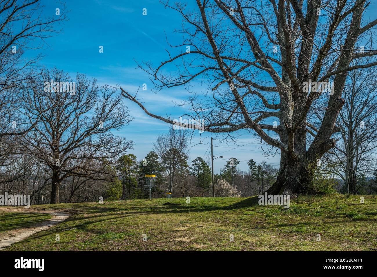 Disc golf baskets in a park on a grass course surrounded by large trees ...