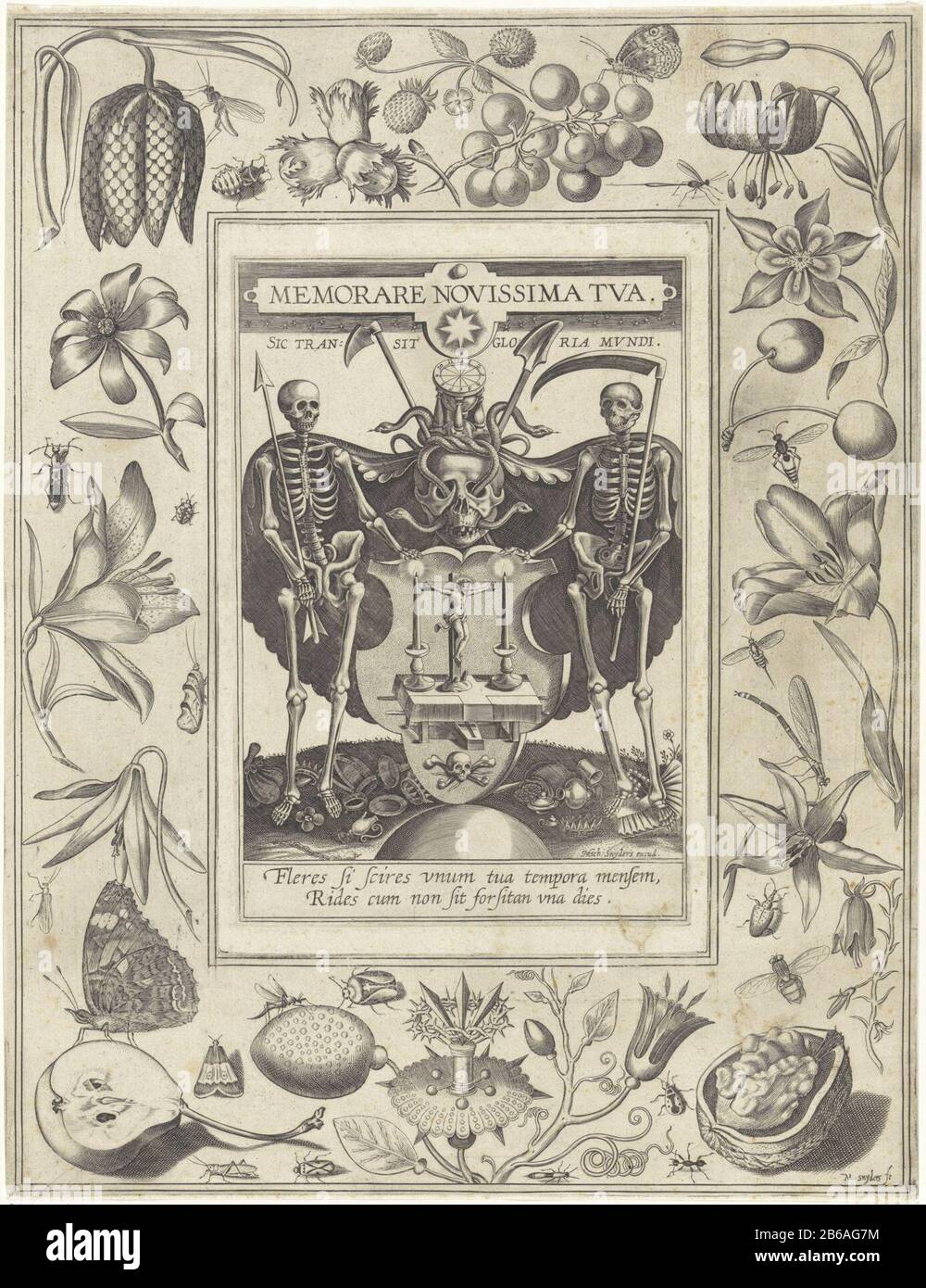 Allegory of death Two skeletons with a jacket to keep the shoulders a ...