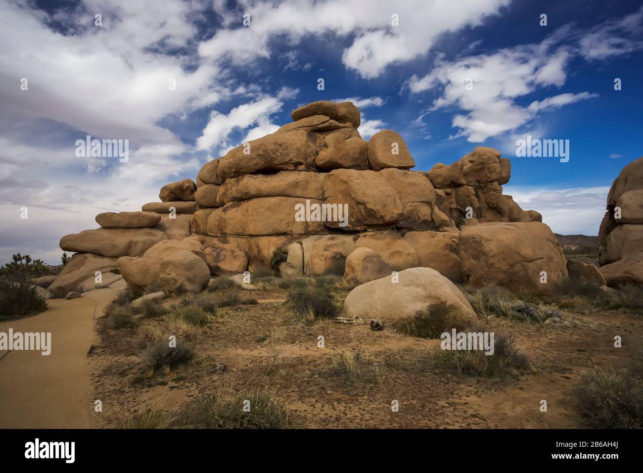 Tree rock formation hi-res stock photography and images - Alamy