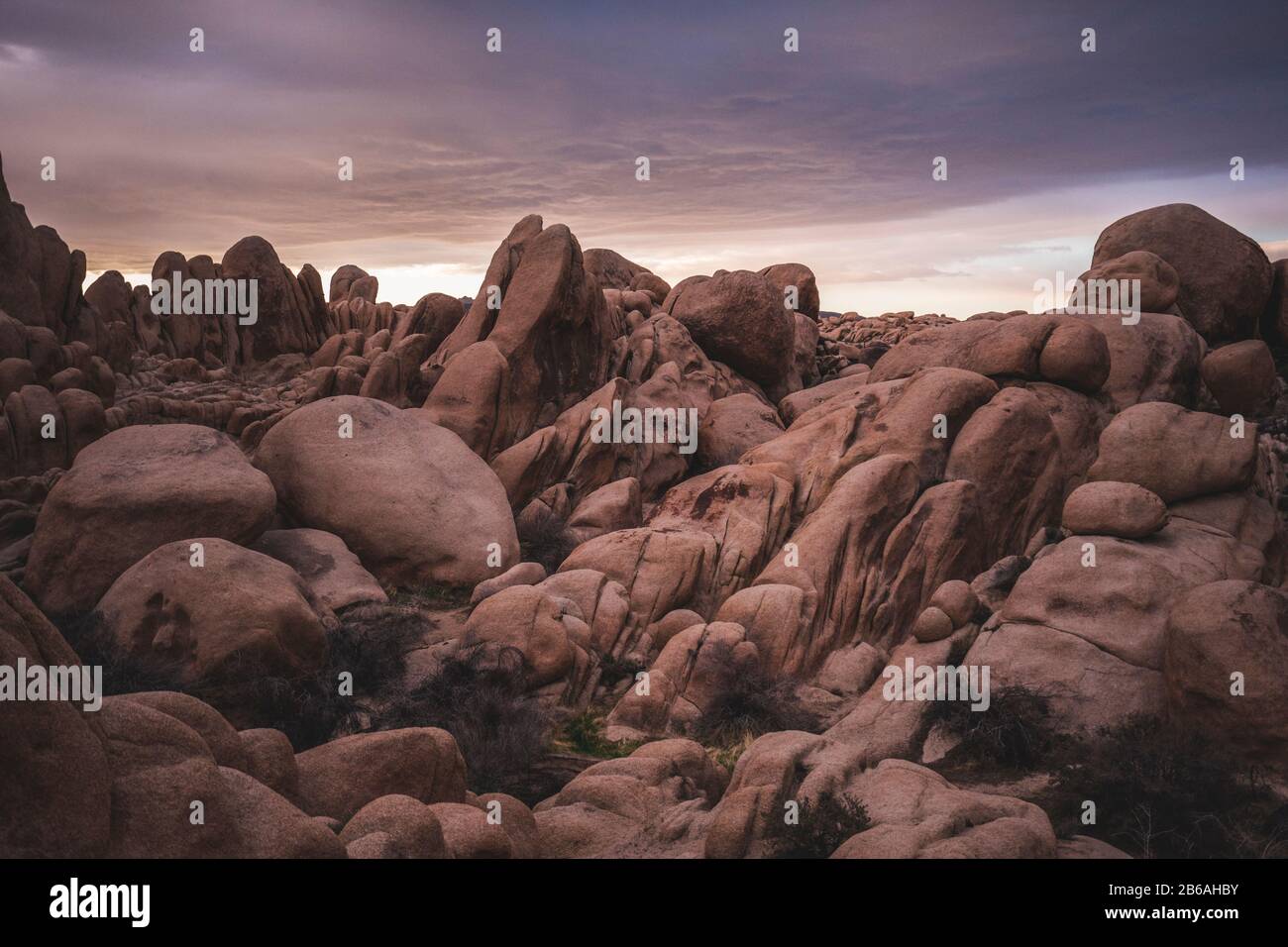 Tree rock formation hi-res stock photography and images - Alamy