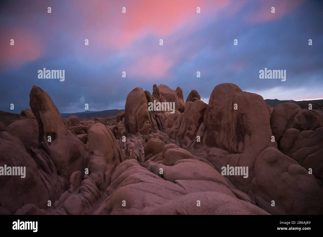 Tree Rock Formation High Resolution Stock Photography and Images - Alamy