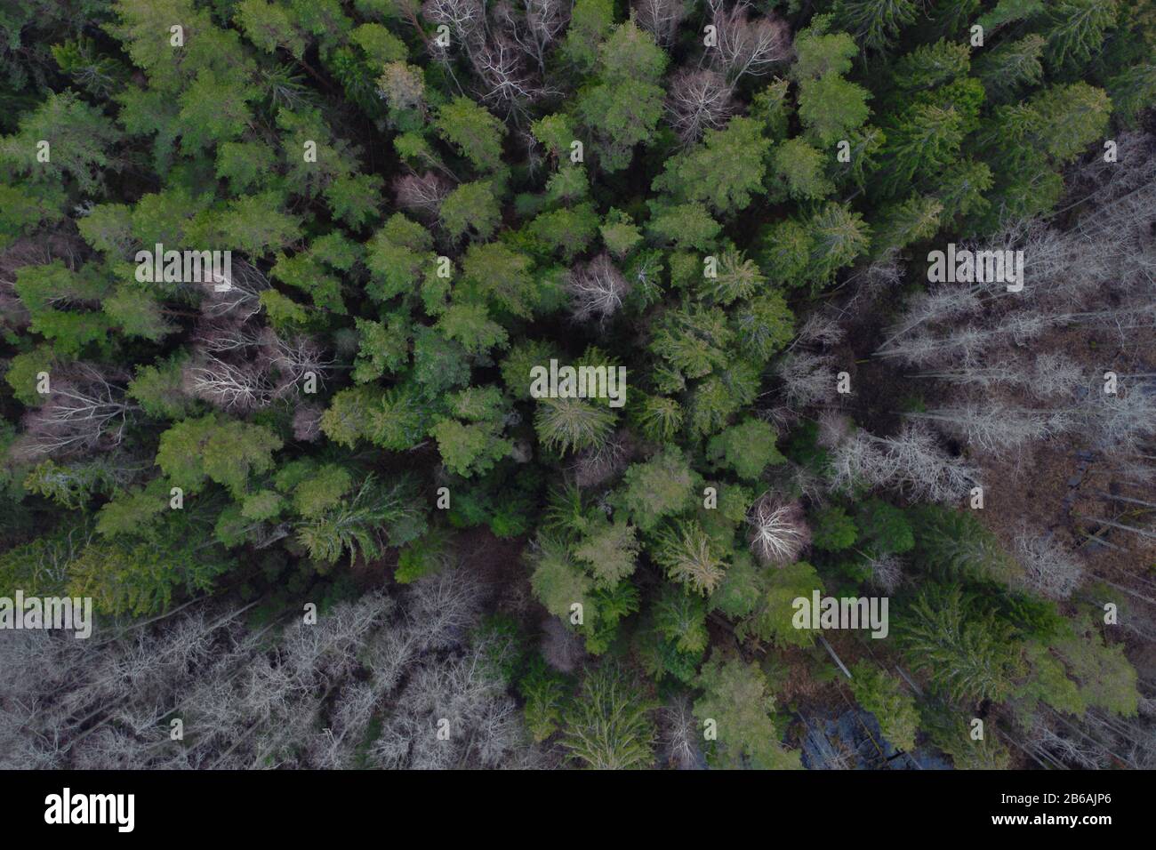 Straight down hi-res stock photography and images - Alamy