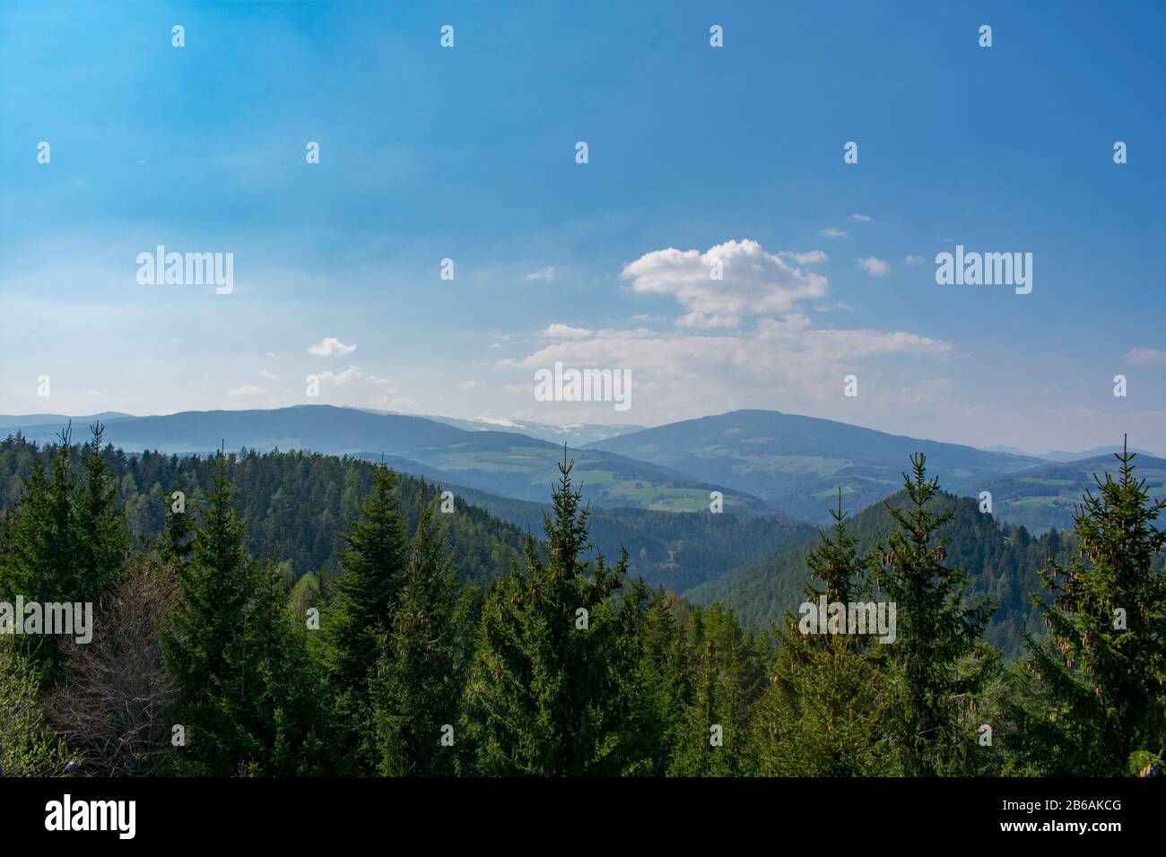 Trees in alps hi-res stock photography and images - Alamy