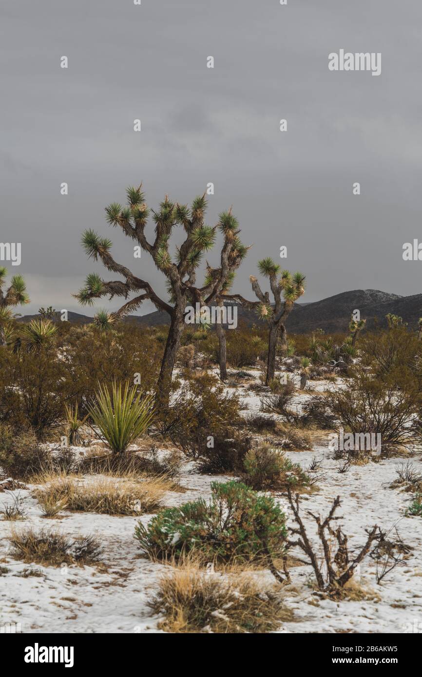 Photo captures national park hi-res stock photography and images - Alamy