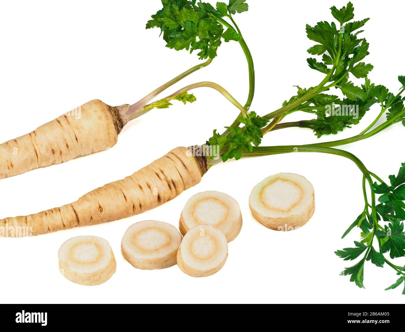 raw parsley root isolated on white Stock Photo - Alamy