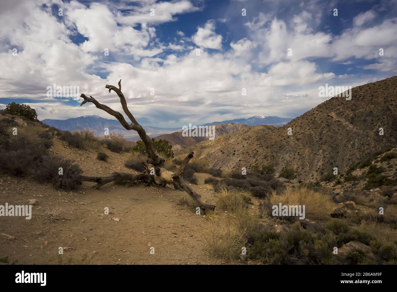 Keys view joshua tree hi-res stock photography and images - Alamy