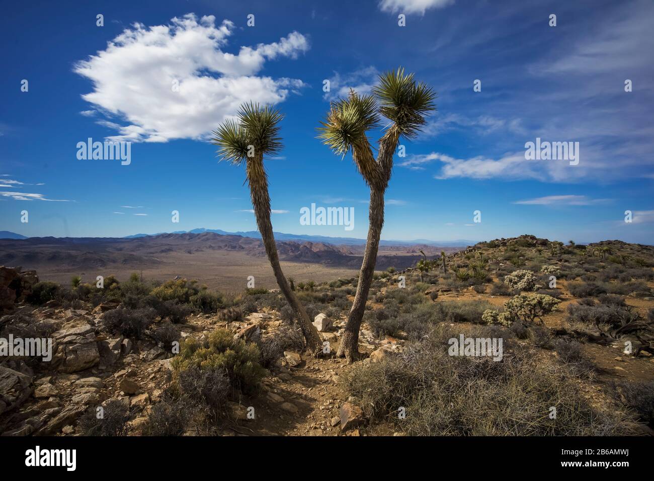 Ryan arch hi-res stock photography and images - Alamy