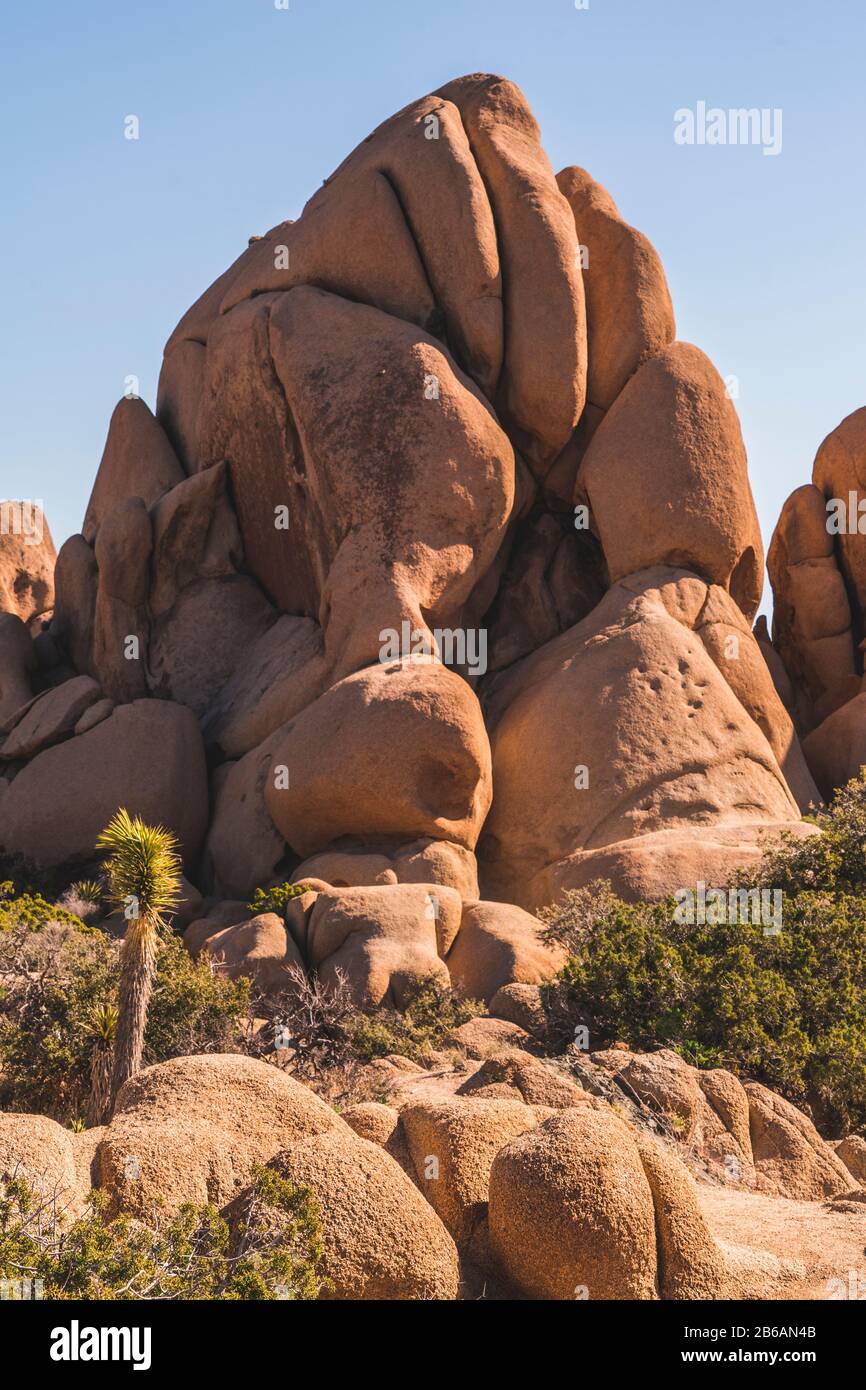 Joshua Tree Rock Formation Stock Photo - Alamy