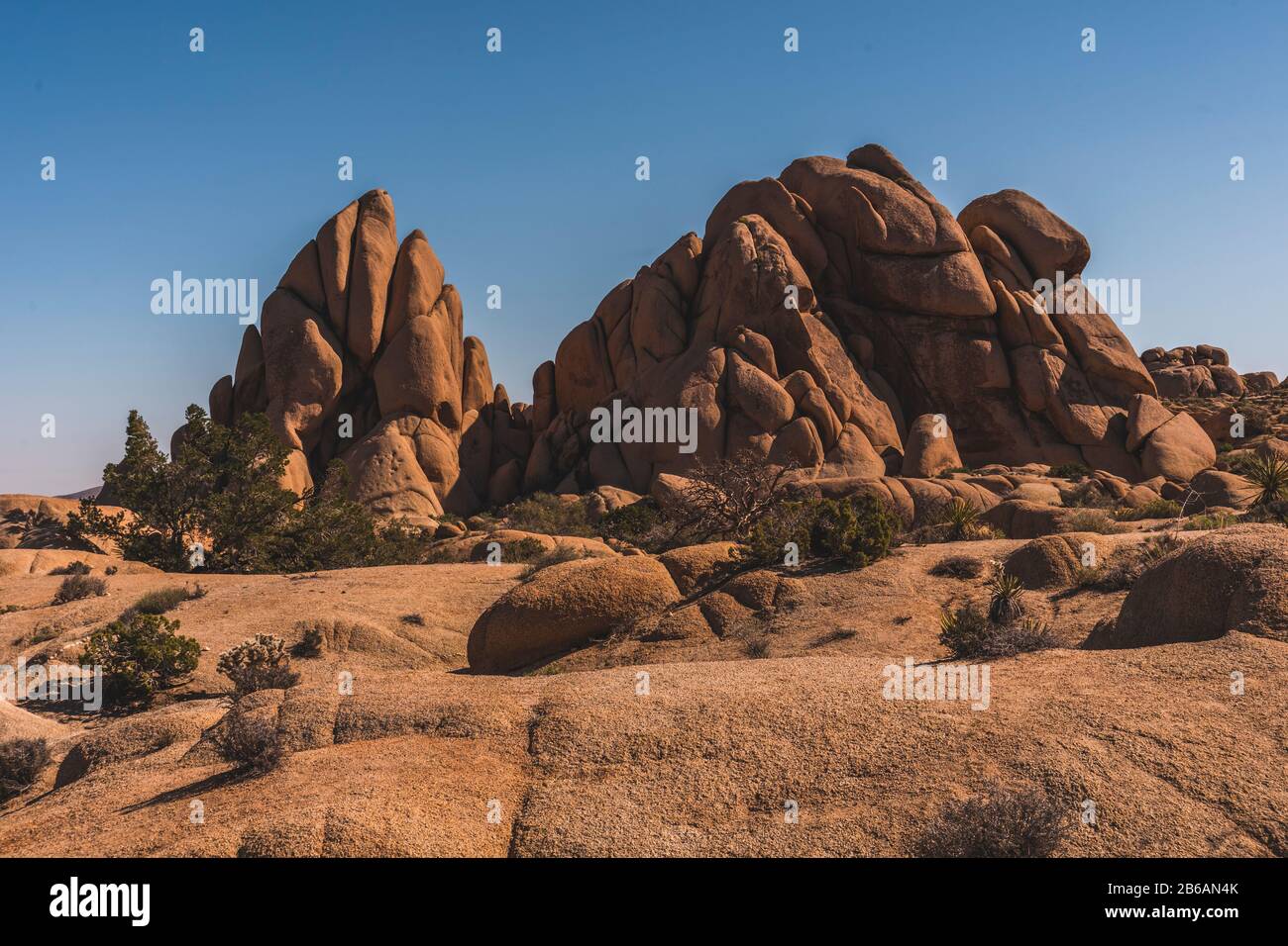 Tree rock formation hi-res stock photography and images - Alamy