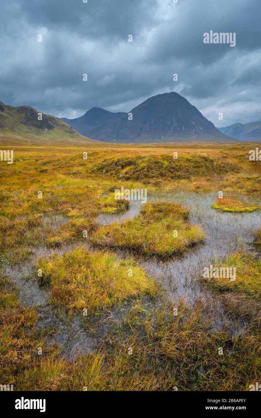 Marshland in the scottish highlands hi-res stock photography and images ...