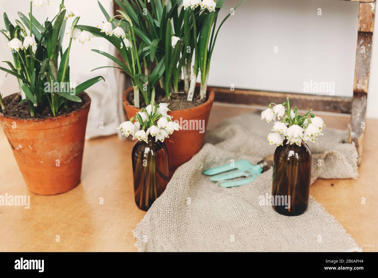 Spring flowers in clay plant pots hi-res stock photography and images ...