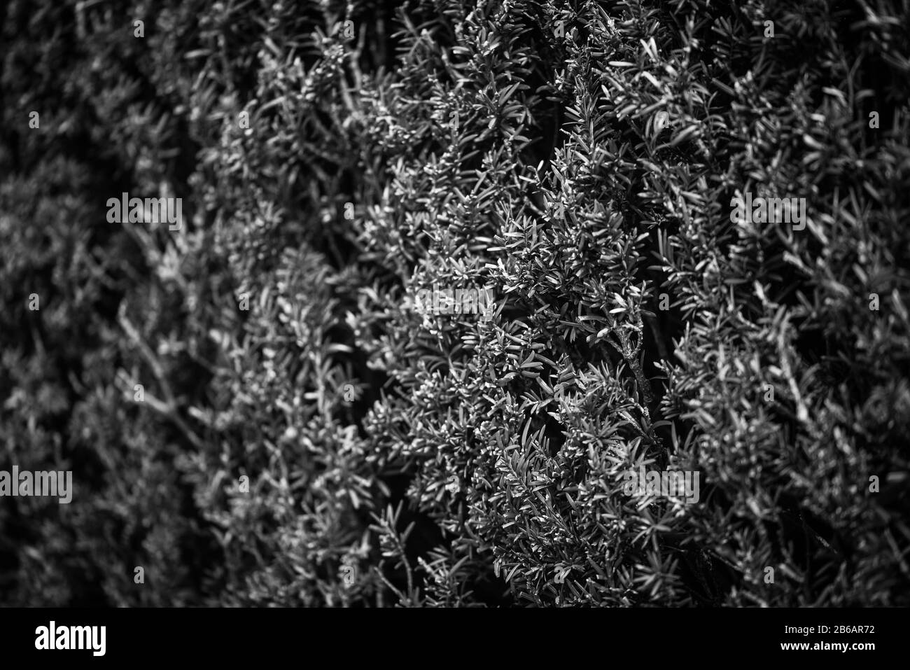 Labyrinth tourism Black and White Stock Photos & Images - Alamy