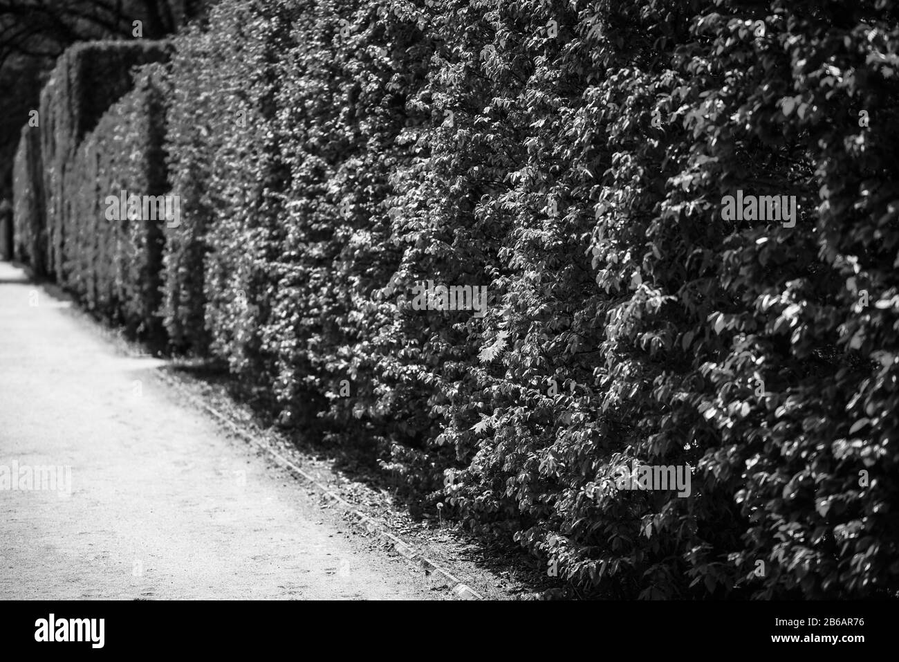 Labyrinth tourism Black and White Stock Photos & Images - Alamy