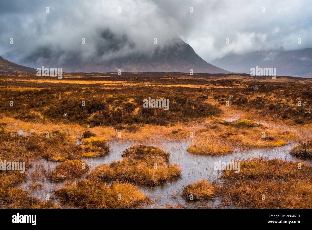 Scottish Moors High Resolution Stock Photography and Images - Alamy
