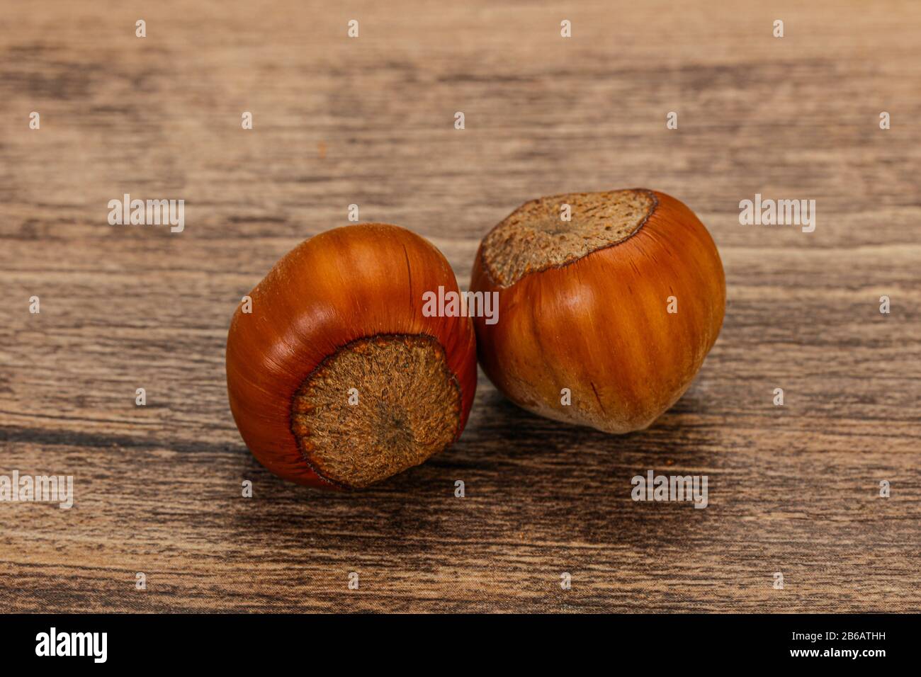Two ripe tasty Whole hazelnut (hazel Stock Photo - Alamy