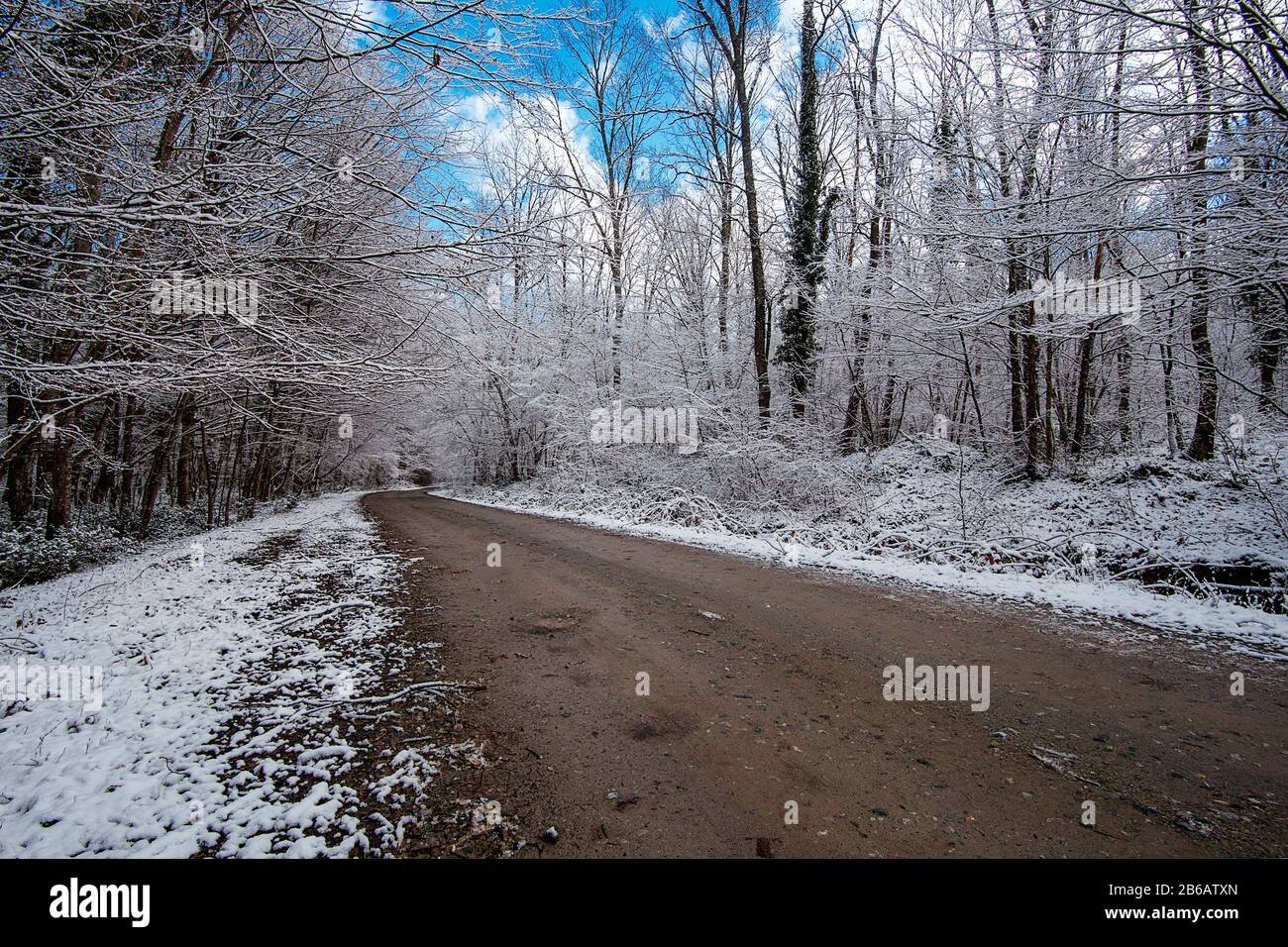 Turkey road fir hi-res stock photography and images - Alamy
