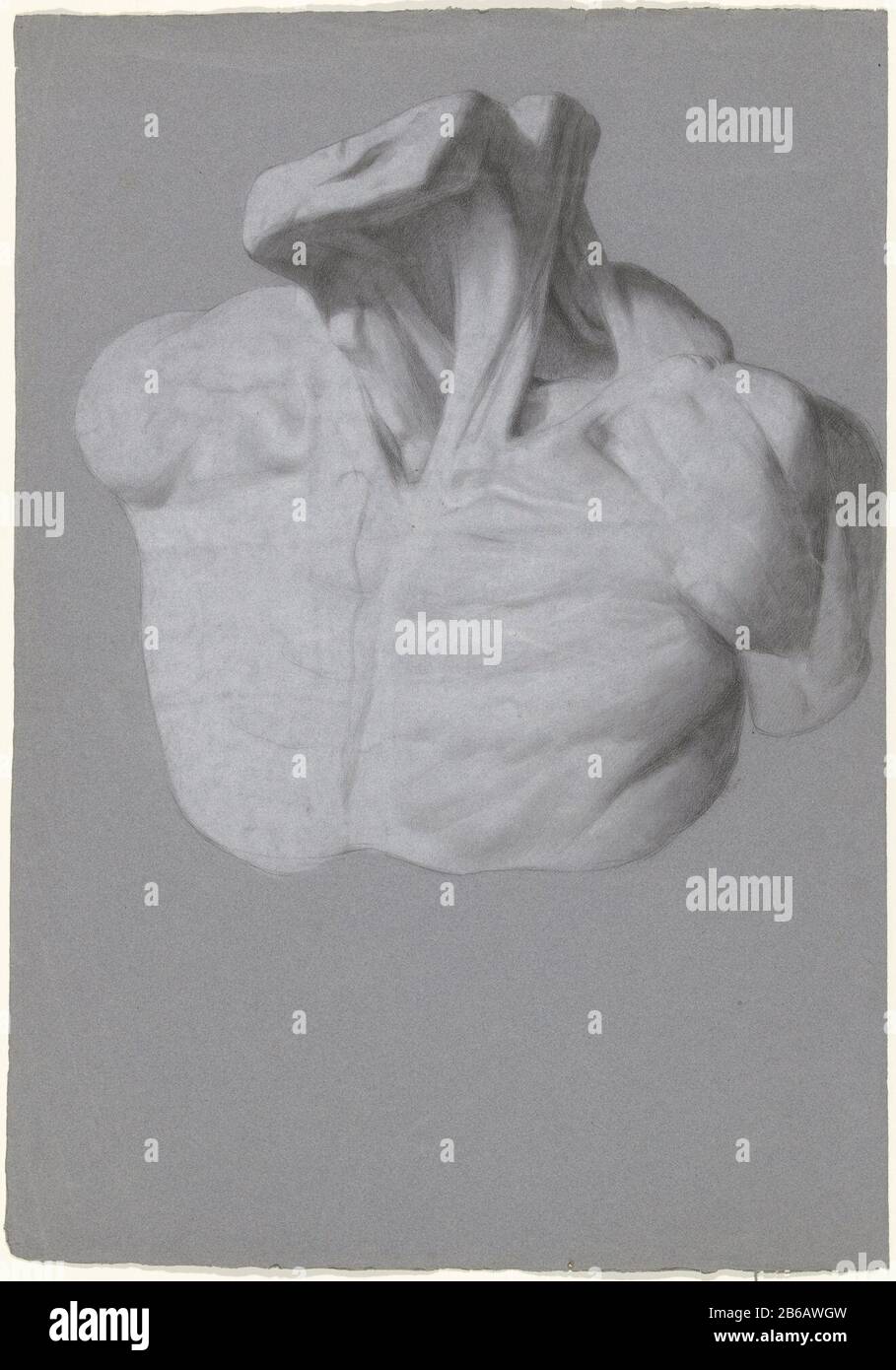 Anatomical study of chest and neck Anatomical study of chest and nek ...