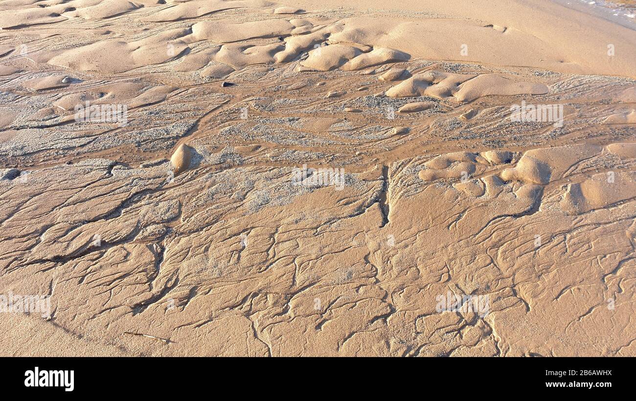 Seaweed and patterns in the sand Stock Photo - Alamy