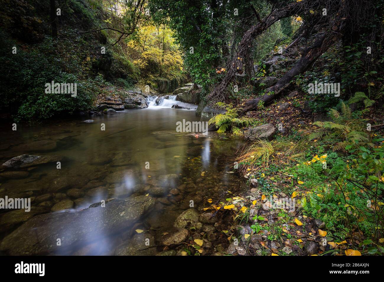 Surrounded by rocks and nature hi-res stock photography and images - Alamy