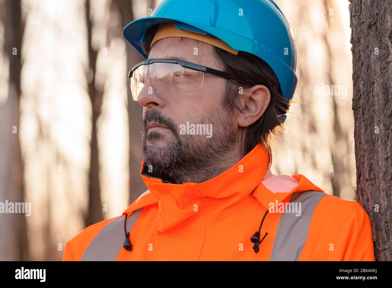 Forestry technician in aspen tree forest planning deforestation ...