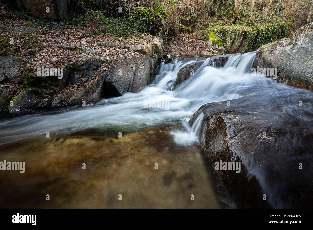 In the george Stock Photo - Alamy