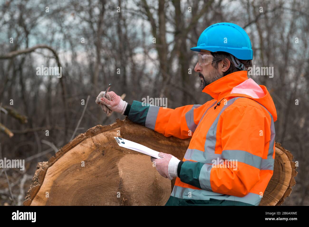 Forestry technician posing with clipboard notepad next to a tree log in ...
