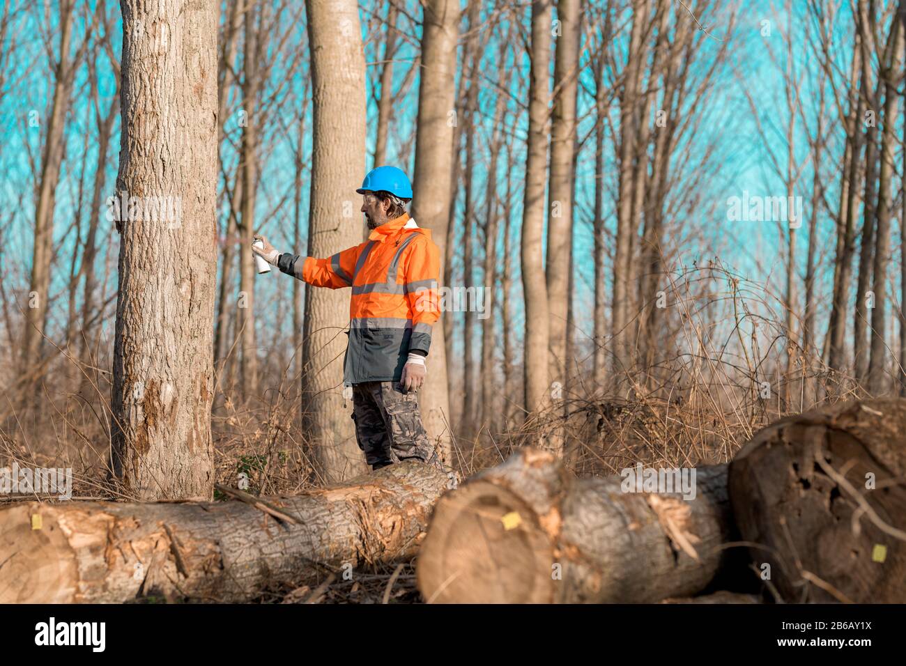 Deforestation people hi hi-res stock photography and images - Alamy