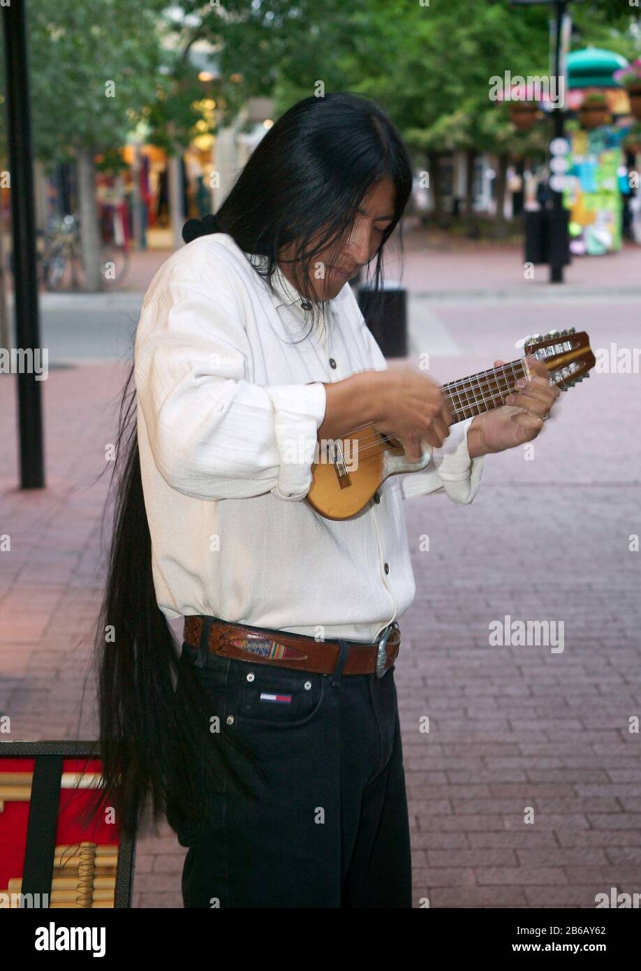 Mandolin musical instrument hi-res stock photography and images - Alamy