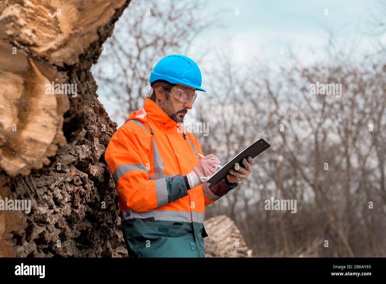 Forestry technician writing notes on clipboard notepad paper in forest ...
