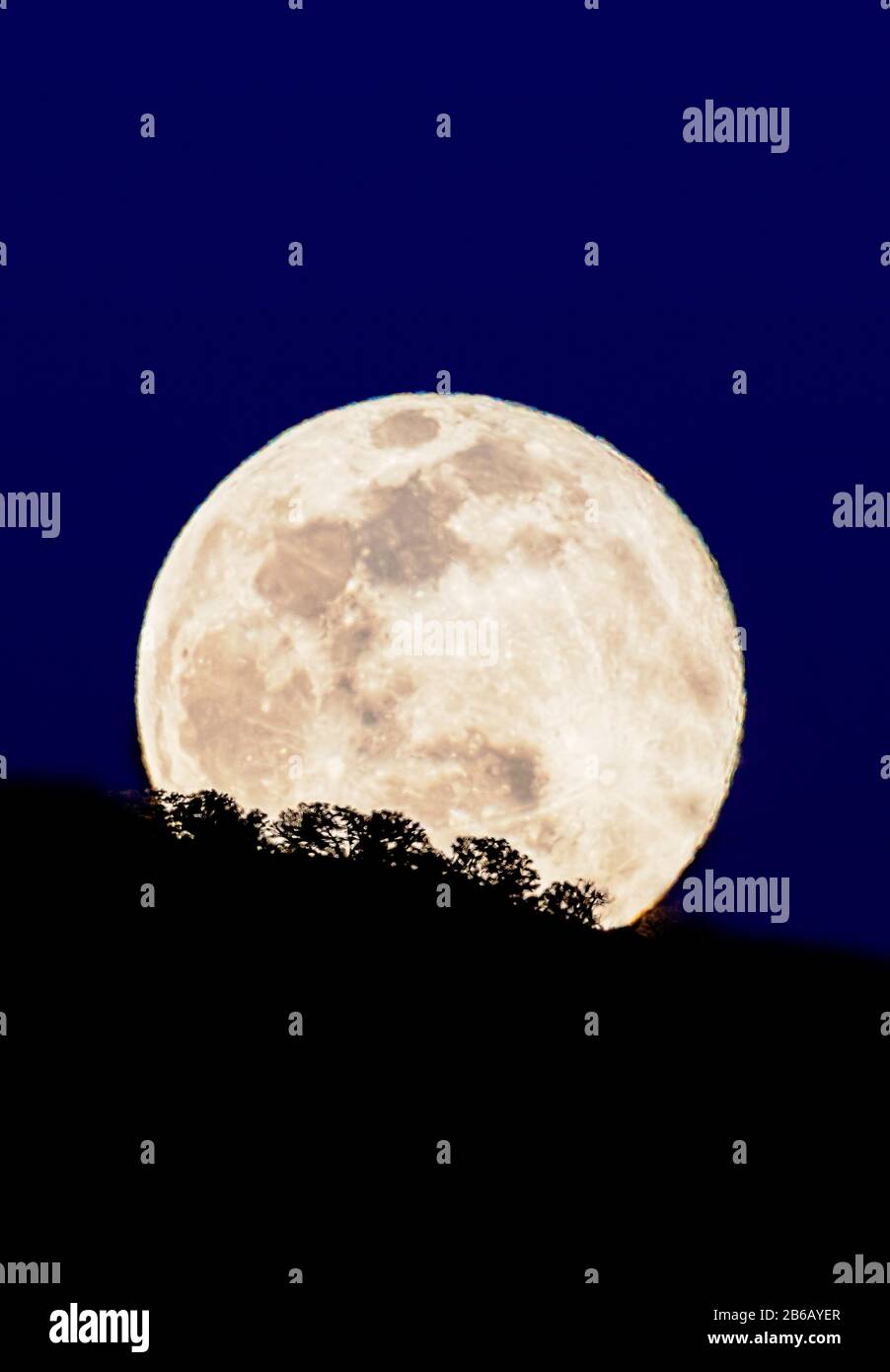 Celestial worm moon worm full moon hi-res stock photography and images ...