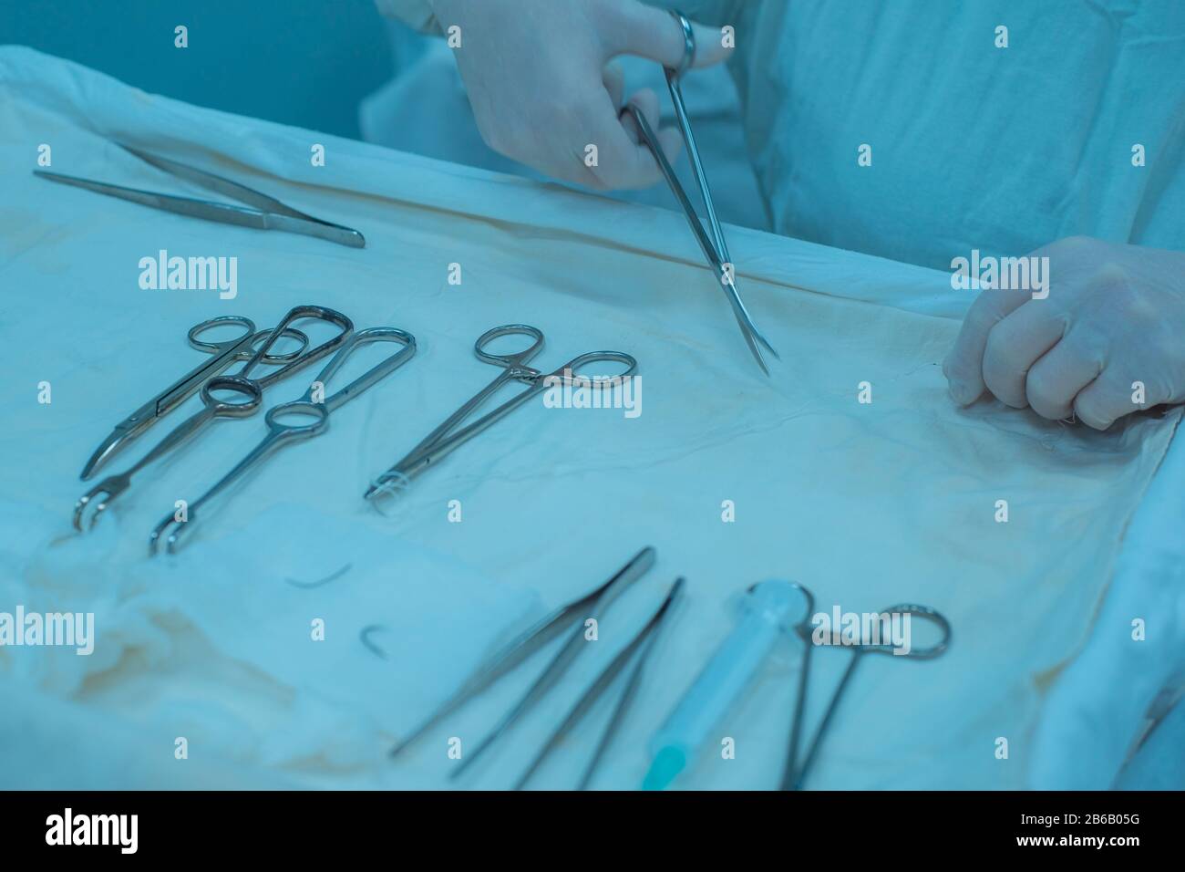 closeup, the hands of a nurses hand, an assistant surgeon takes a ...