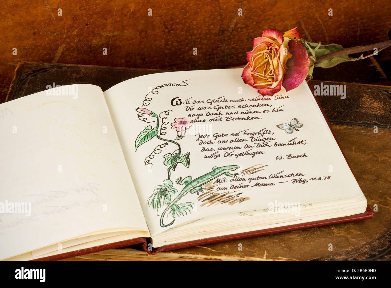 Loving memory rose hi-res stock photography and images - Alamy