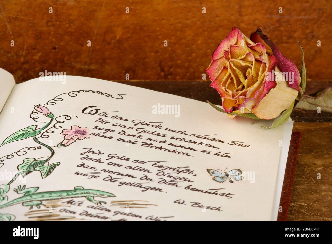 Loving memory rose hi-res stock photography and images - Alamy