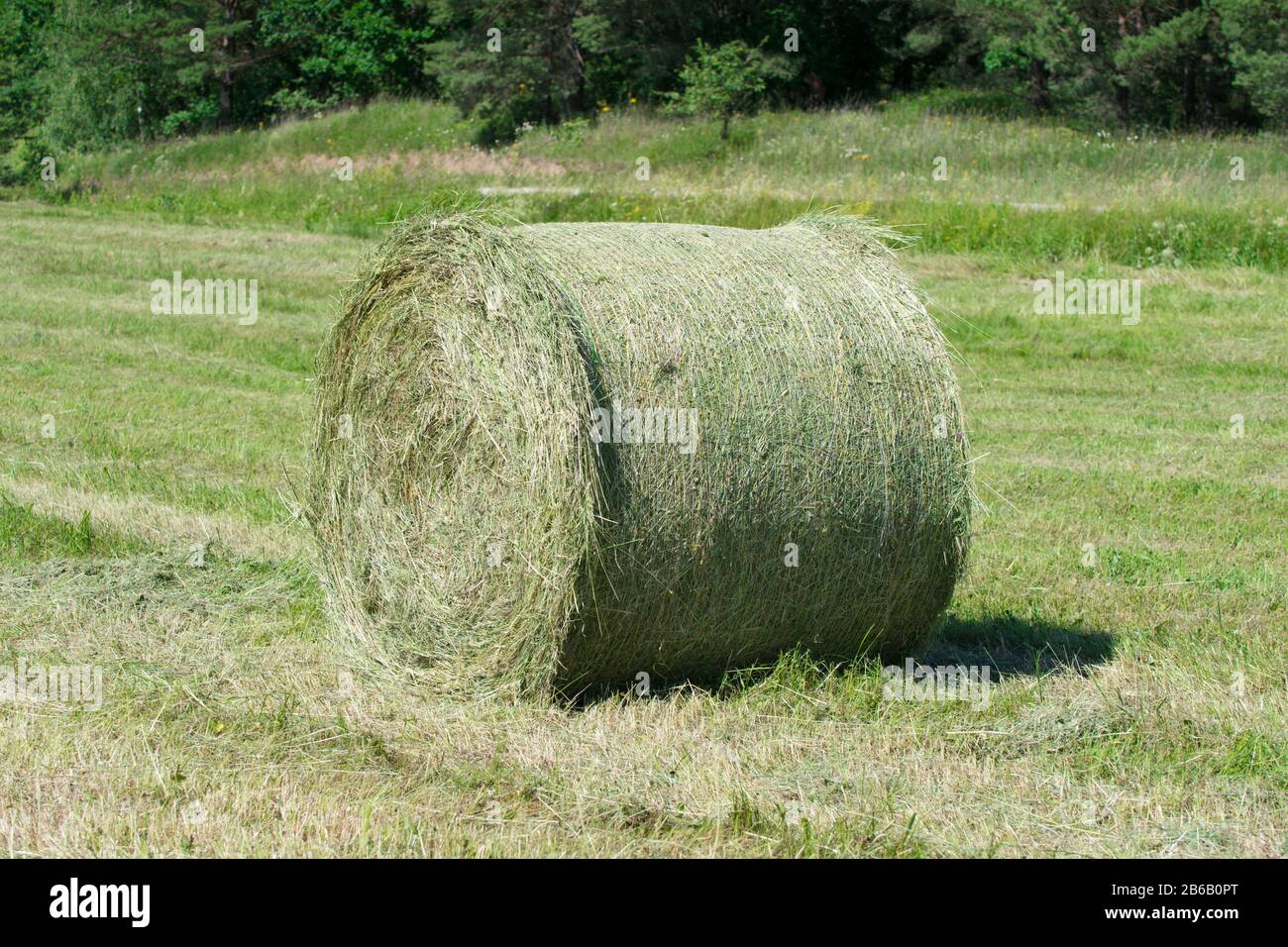 Hay bale roll hi-res stock photography and images - Alamy