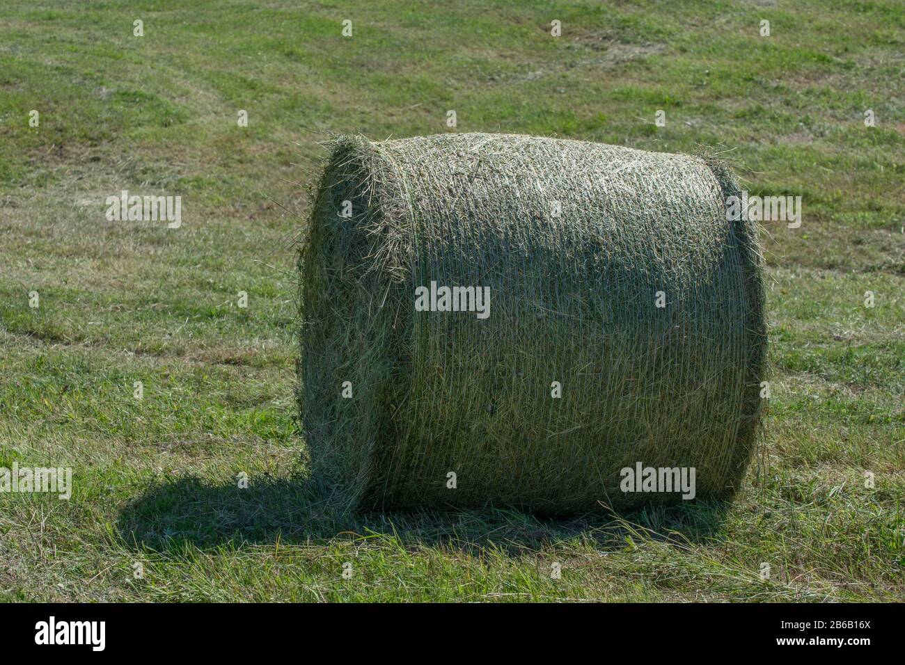 Bale roll hi-res stock photography and images - Alamy