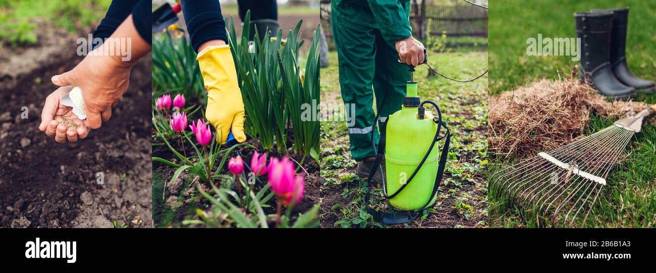 Spring agriculture gardening collage. Sowing loosening soil pesticide ...