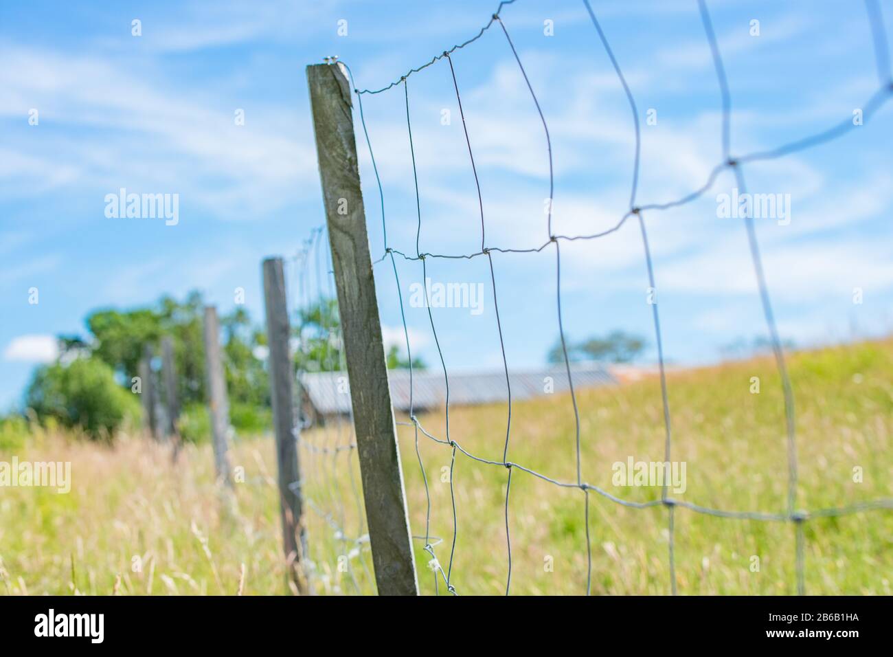 Bard wire hi-res stock photography and images - Alamy