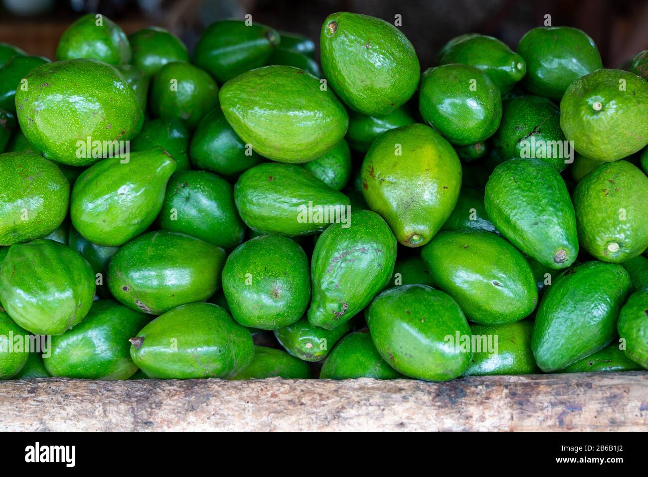 Green avocado stack at grocery on tropical marketplace outdoor,Samana ...