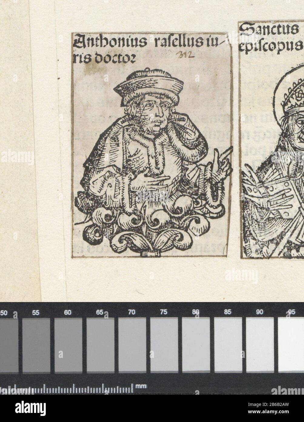 Roselli hi-res stock photography and images - Alamy