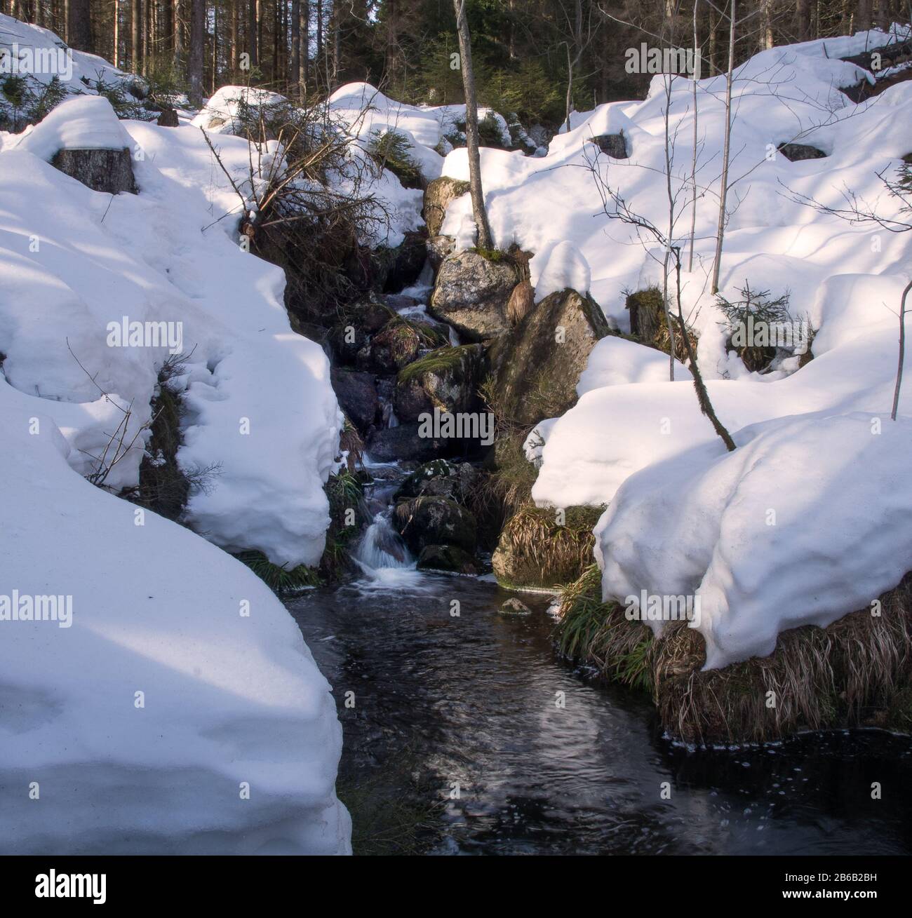 Tiny creek hi-res stock photography and images - Alamy