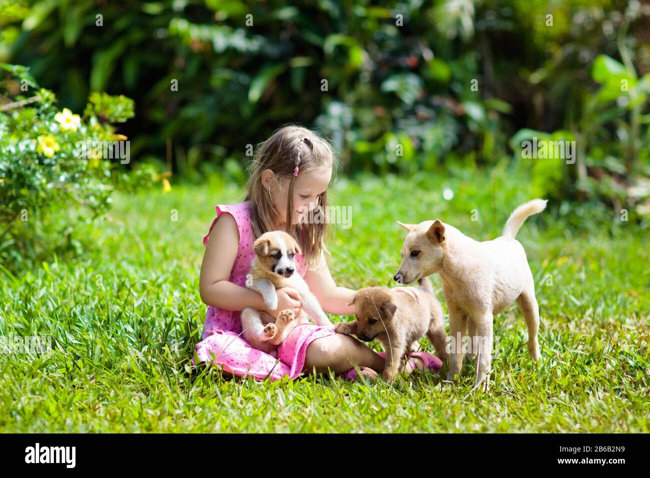Kids play with cute little puppy. Children and baby dogs playing in ...