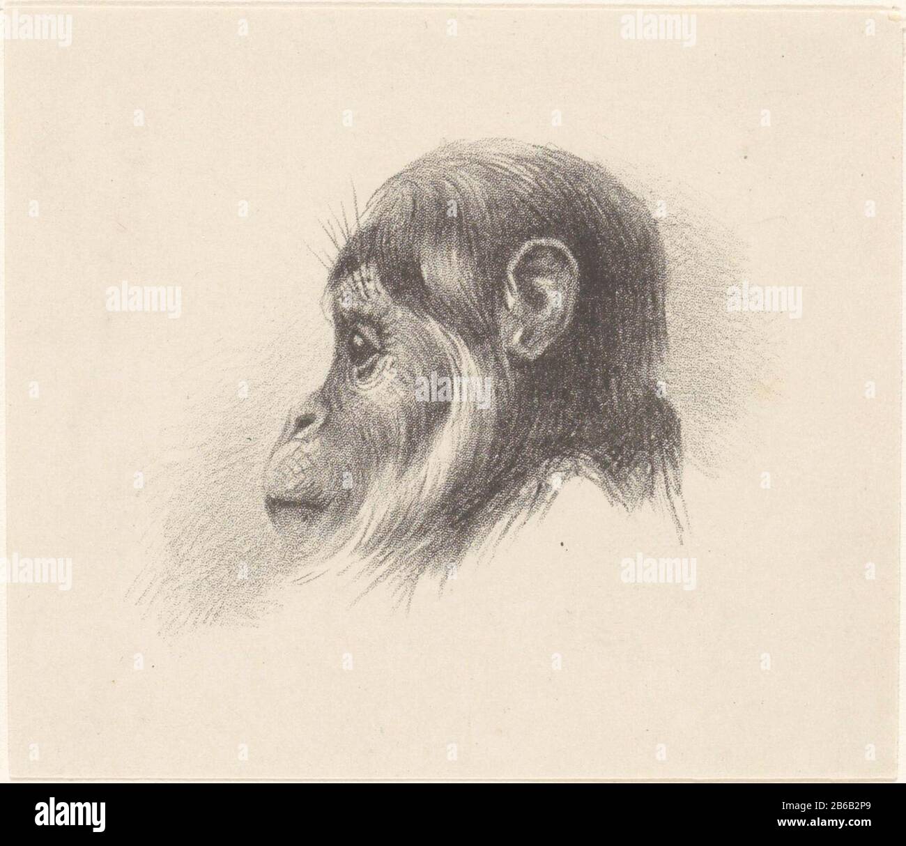 Number 746 hi-res stock photography and images - Alamy