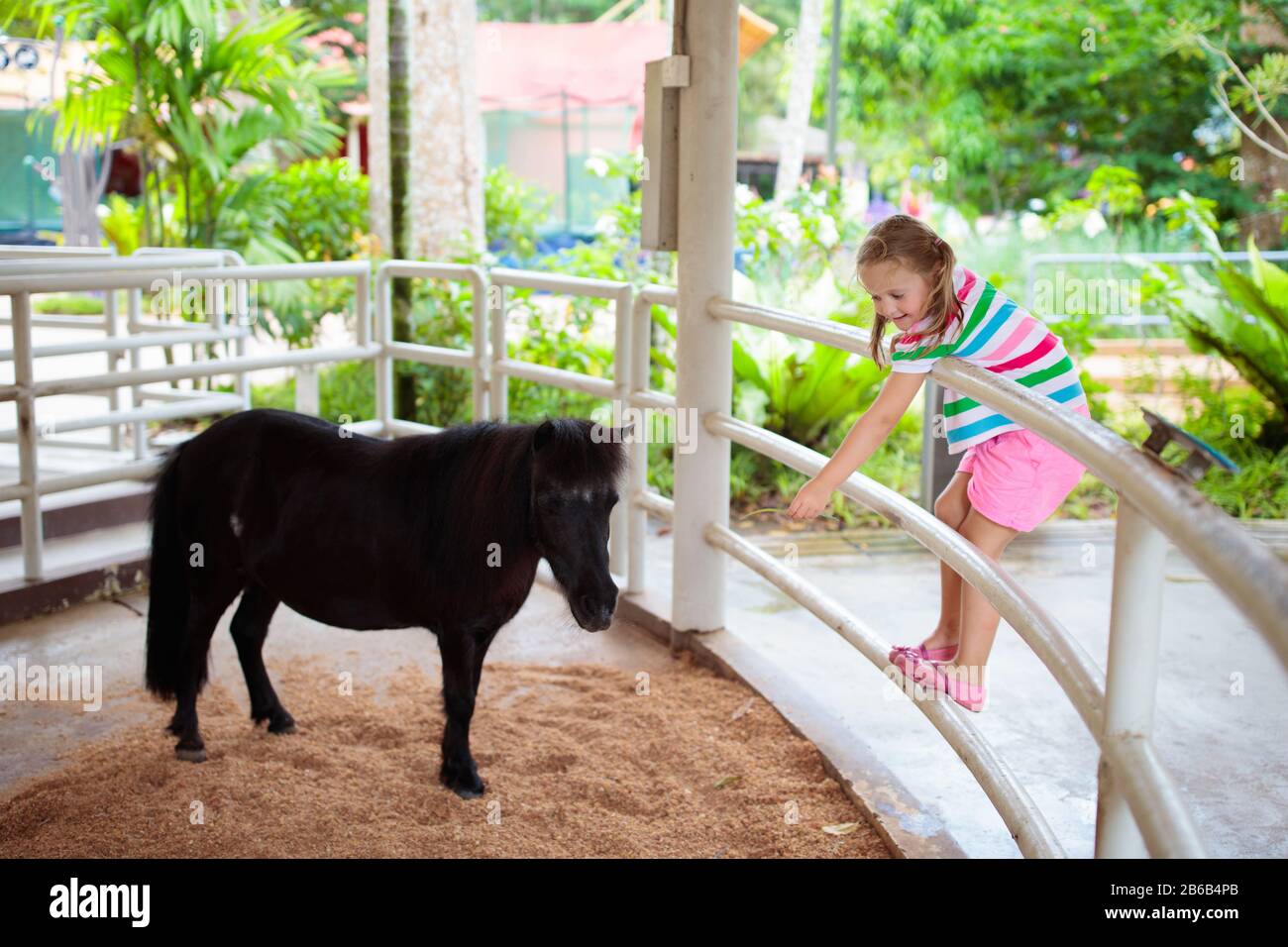 Little girl riding horse on summer vacation in country ranch. Kids ...