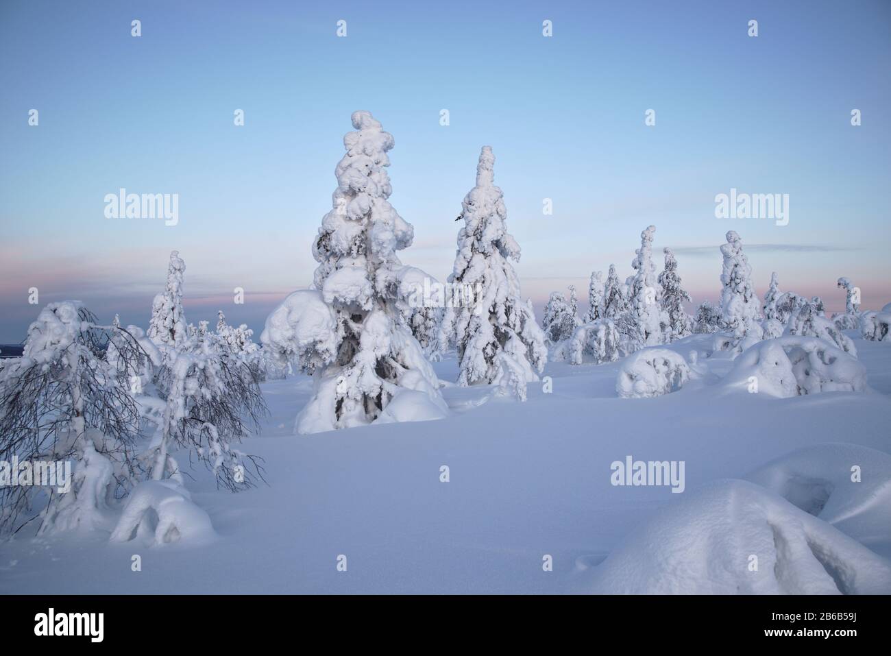 Lapland snow landscape hi-res stock photography and images - Alamy