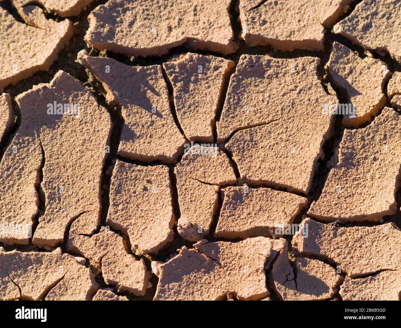 An abstract pattern of cracks in freshly dried Arizona mud Stock Photo ...