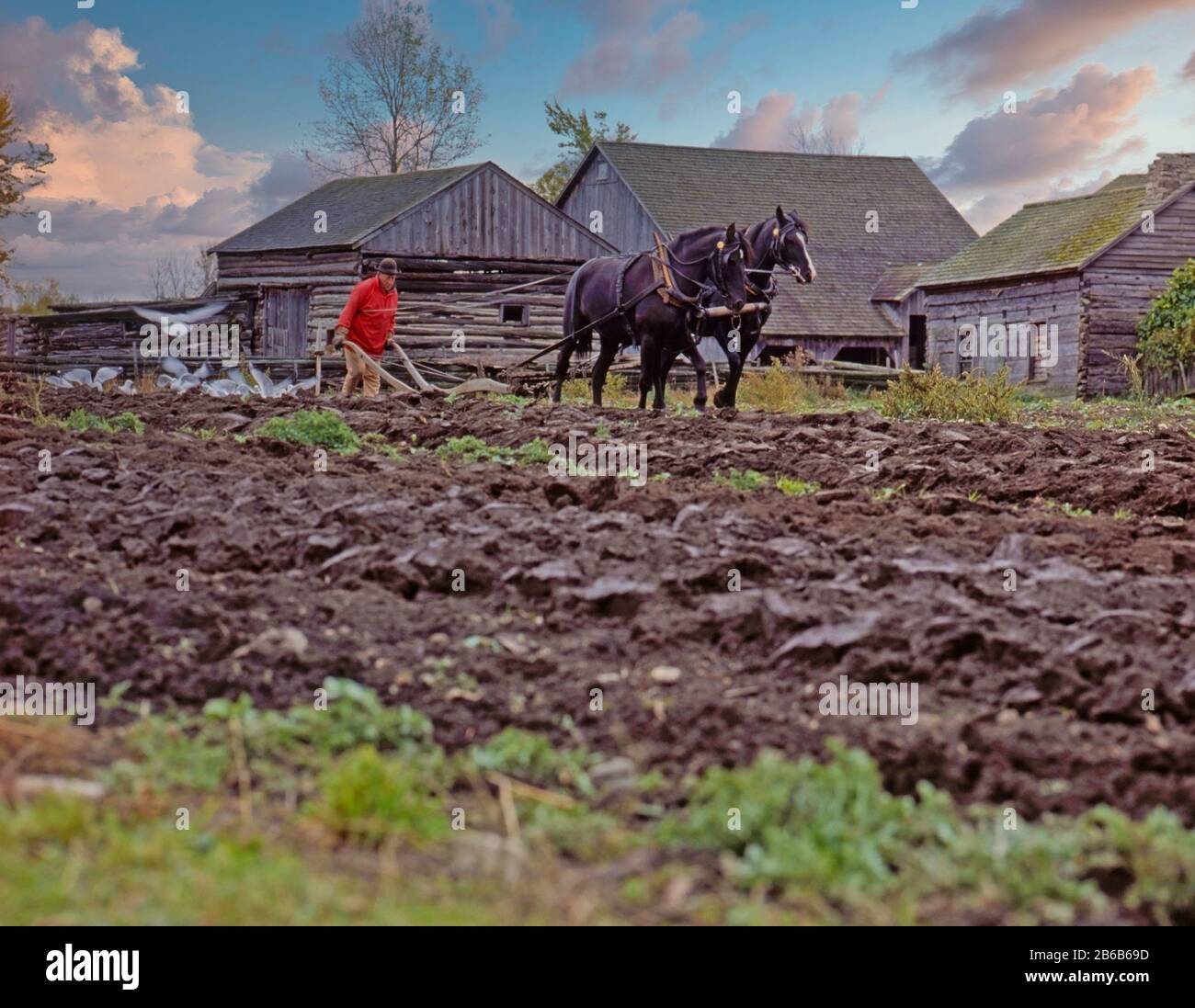 Farmer ploughing the fields Stock Photo - Alamy