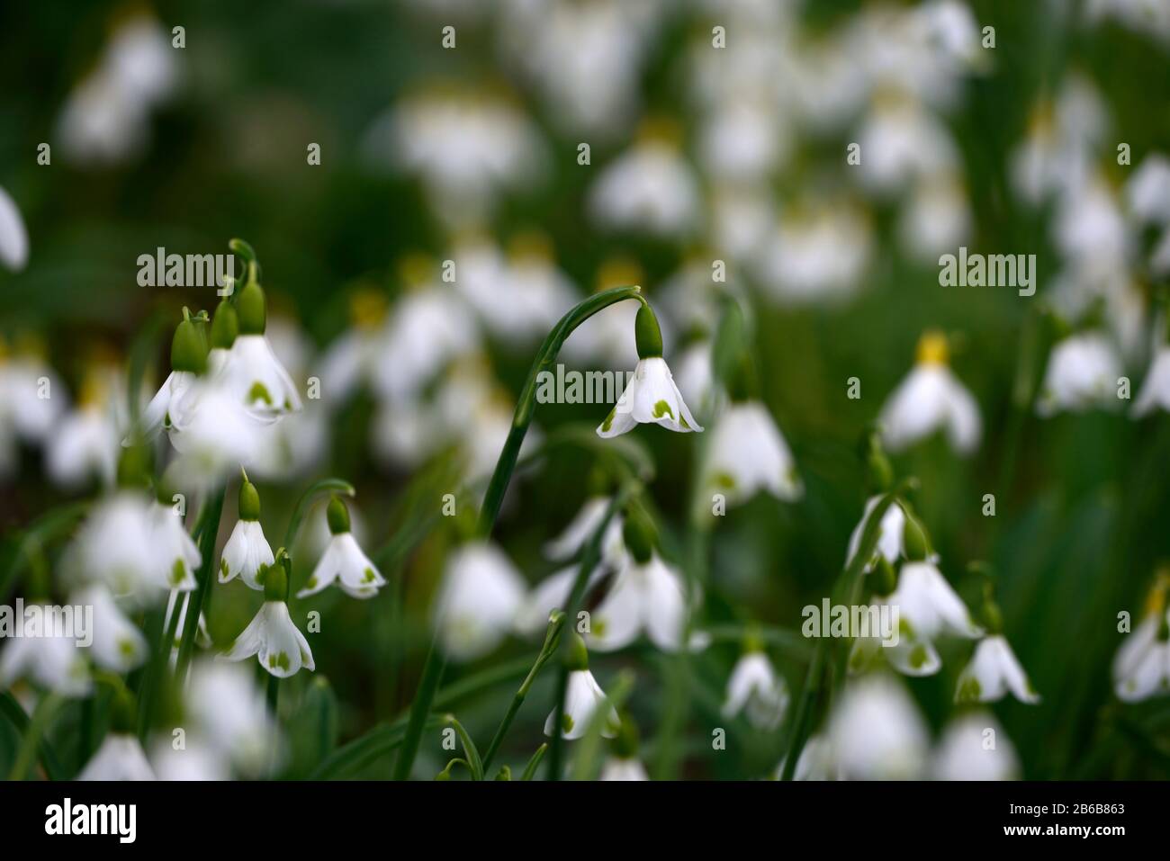 Marking markings hi-res stock photography and images - Alamy