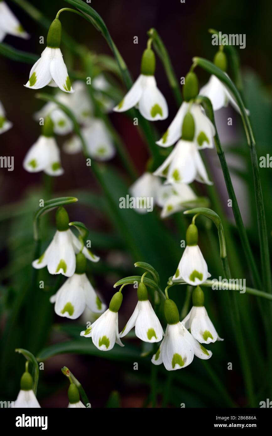 Marking Markings High Resolution Stock Photography and Images - Alamy