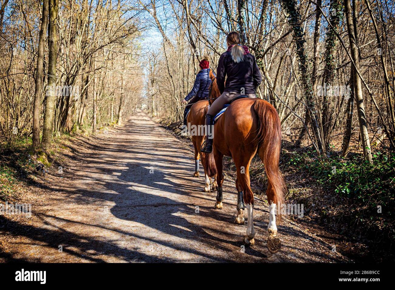 Horse riding scene in a wood Stock Photo - Alamy